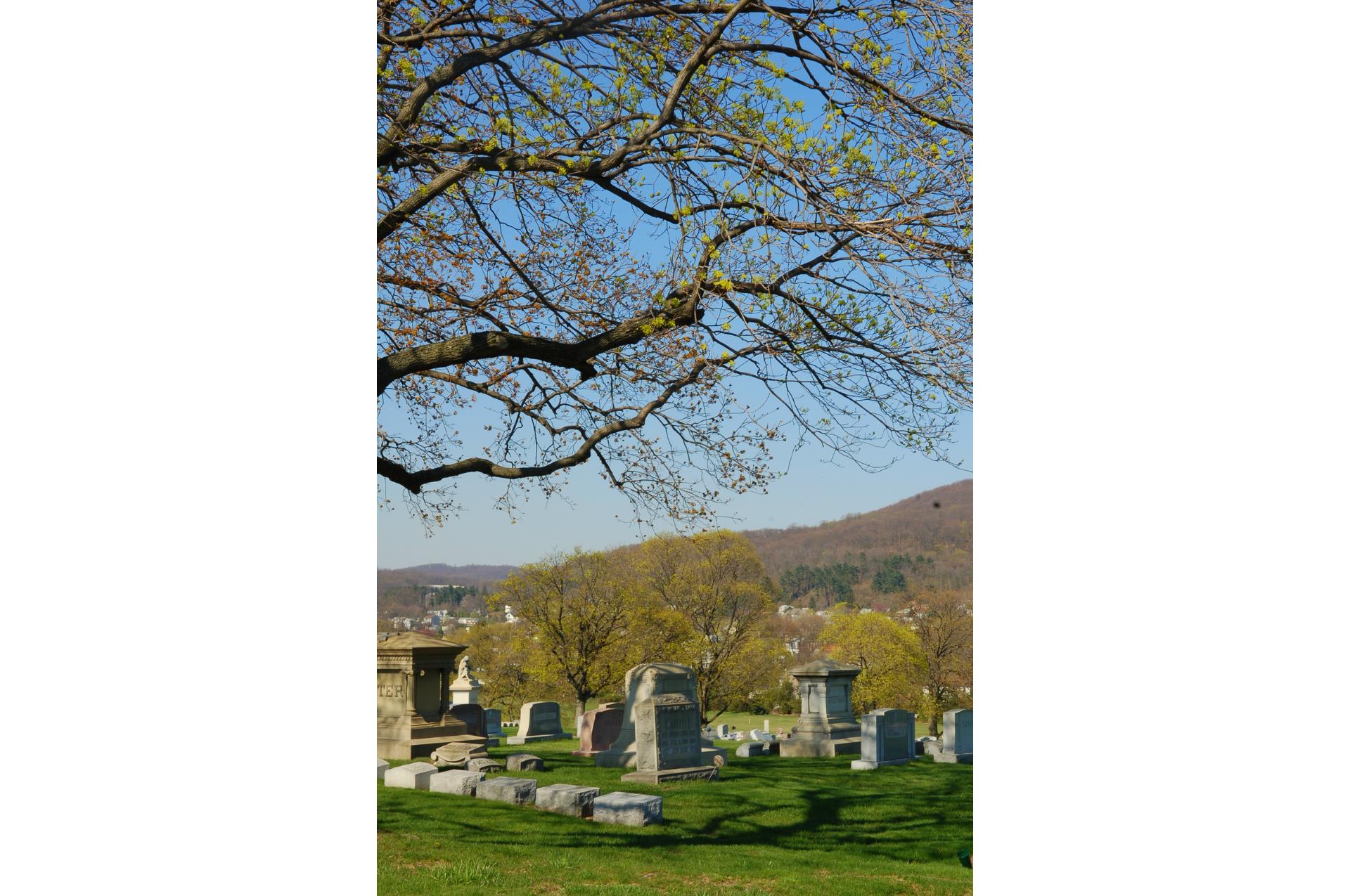 Photo Gallery - Gethsemane Cemetery